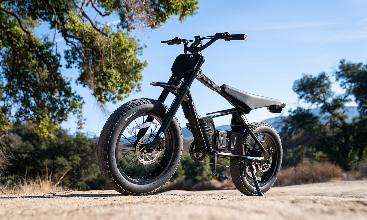 STACYC’s New 20hDRIVE E-Bike Brings the Whole Family Along for the Ride ...