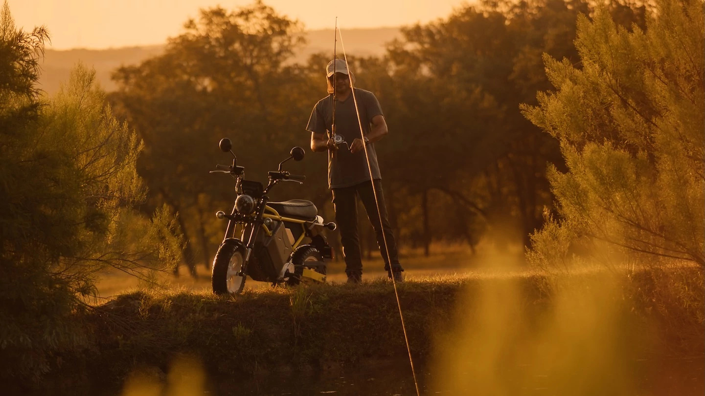 S4 Honcho PDP Light | LiveWire België