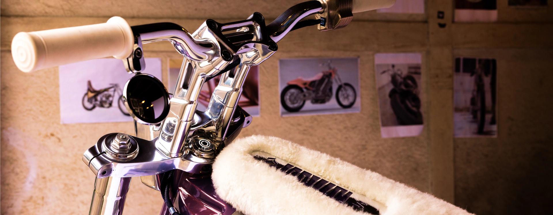 "Furholland": The Furriest Electric Motorcycle Ever | LiveWire