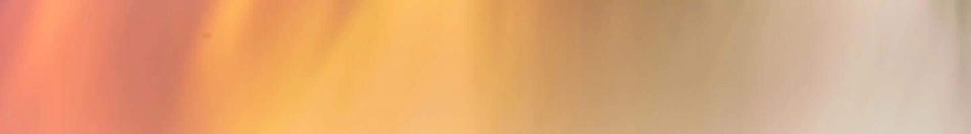 Información de la aplicación | LiveWire España