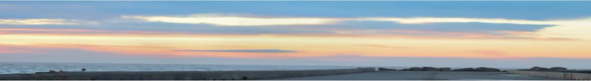 LiveWire ONE electric motorcycle | LiveWire United States